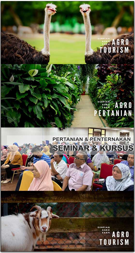TENTANG KAMI - D'Impian Agro Farm By Coach Bahar - Tempat Menarik di ...