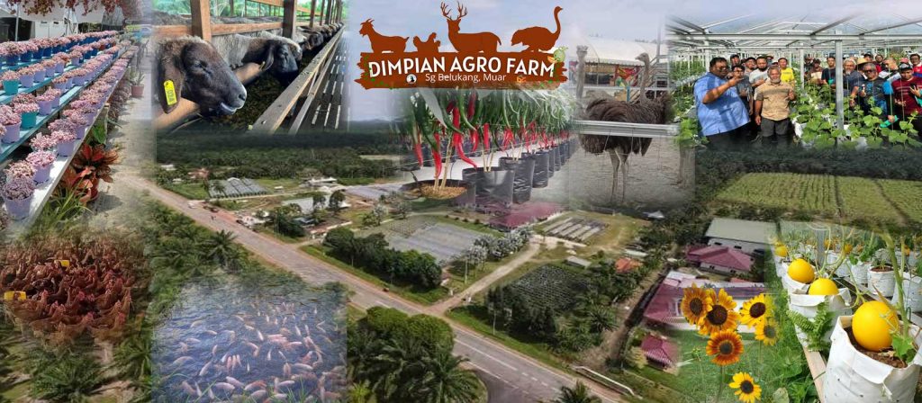 TENTANG KAMI - D'Impian Agro Farm By Coach Bahar - Tempat Menarik di ...