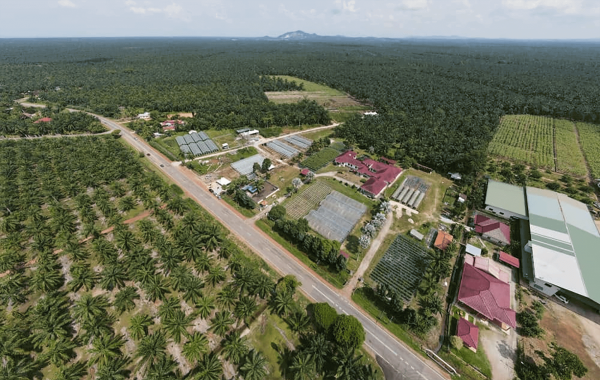 TENTANG KAMI - D'Impian Agro Farm By Coach Bahar - Tempat Menarik di ...