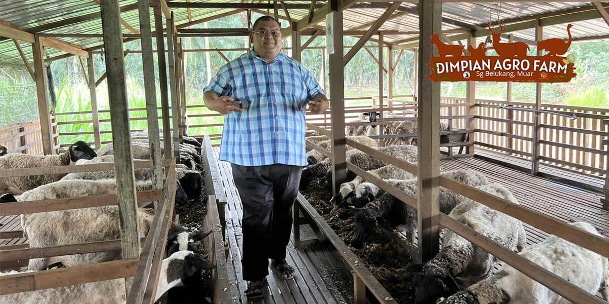 SELAMAT DATANG KE D'IMPIAN AGRO FARM, MUAR,JOHOR - D'Impian Agro Farm