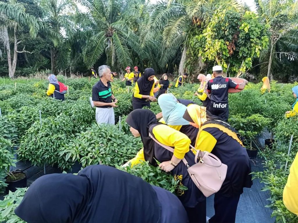Kem Cuti Sekolah Agro 2022 - D'Impian Agro Farm By Coach Bahar - Tempat ...