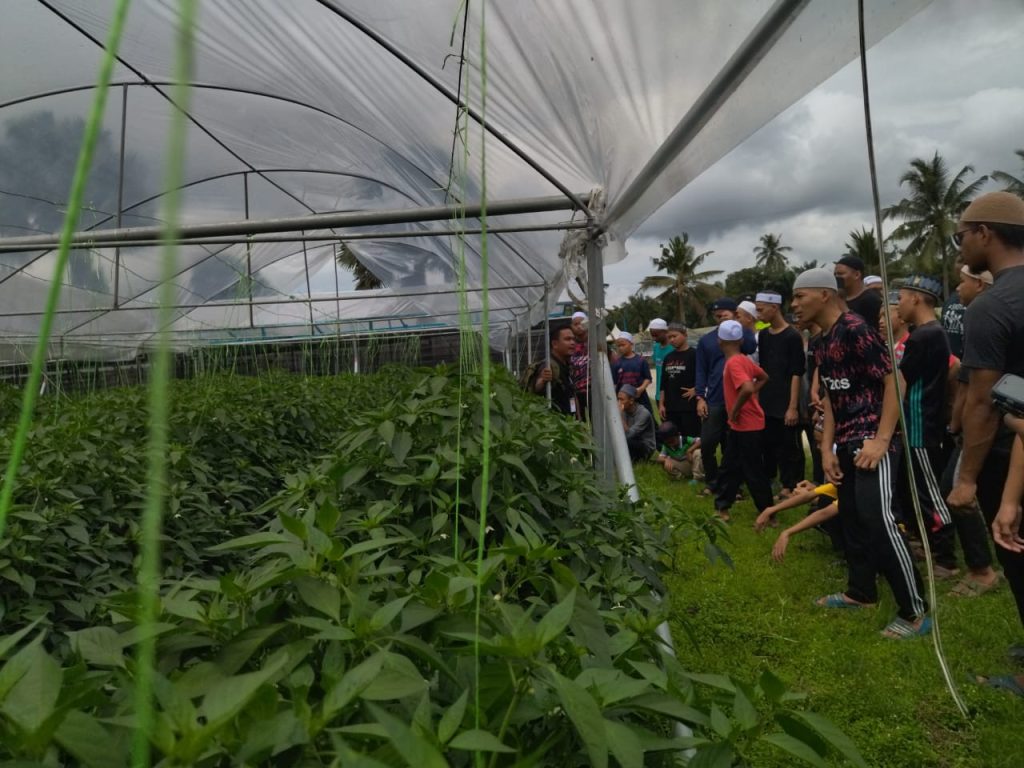 Kem Cuti Sekolah Agro 2022 - D'Impian Agro Farm By Coach Bahar - Tempat ...