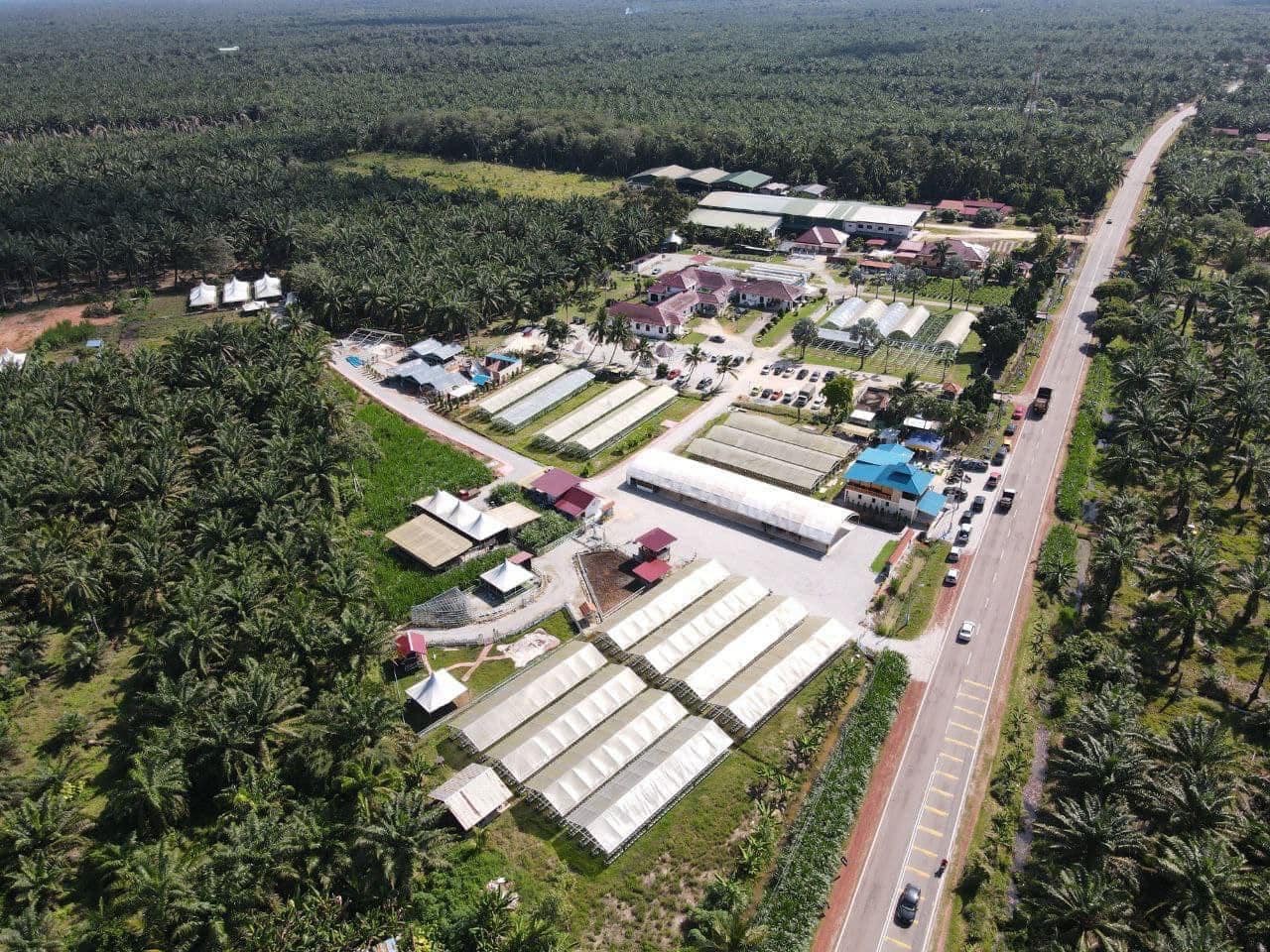 Hidup Berpencen Dengan Tenang - Coach Bahar - D'Impian Agro Farm By ...